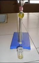 Virtual Labs